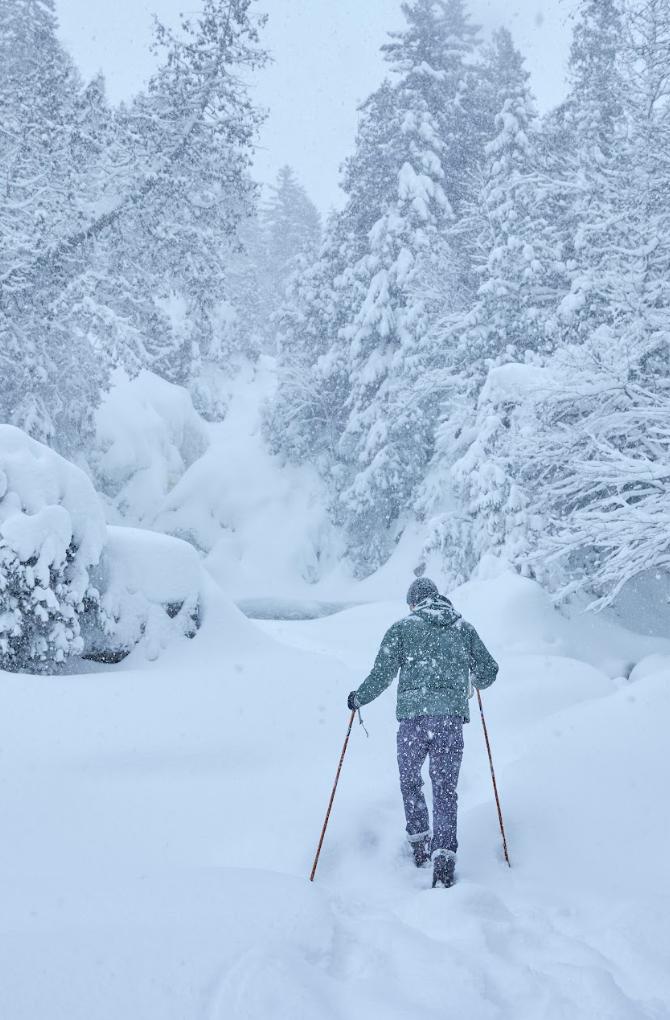 Men's Parkas – Alpine North US